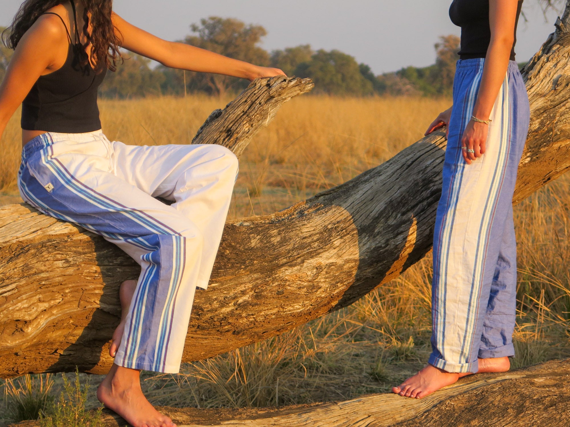 Our Story – Tom's Trunks