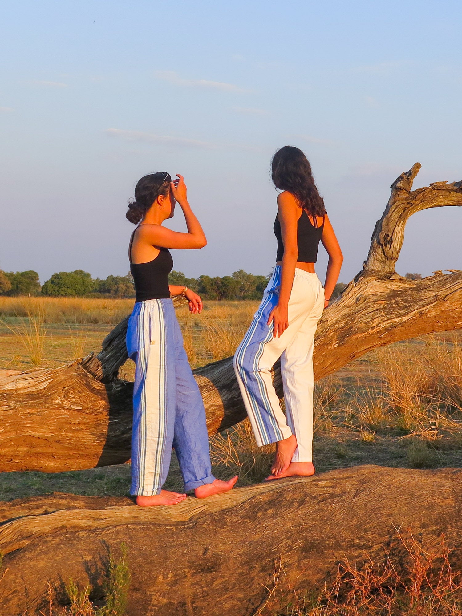 Our Story – Tom's Trunks