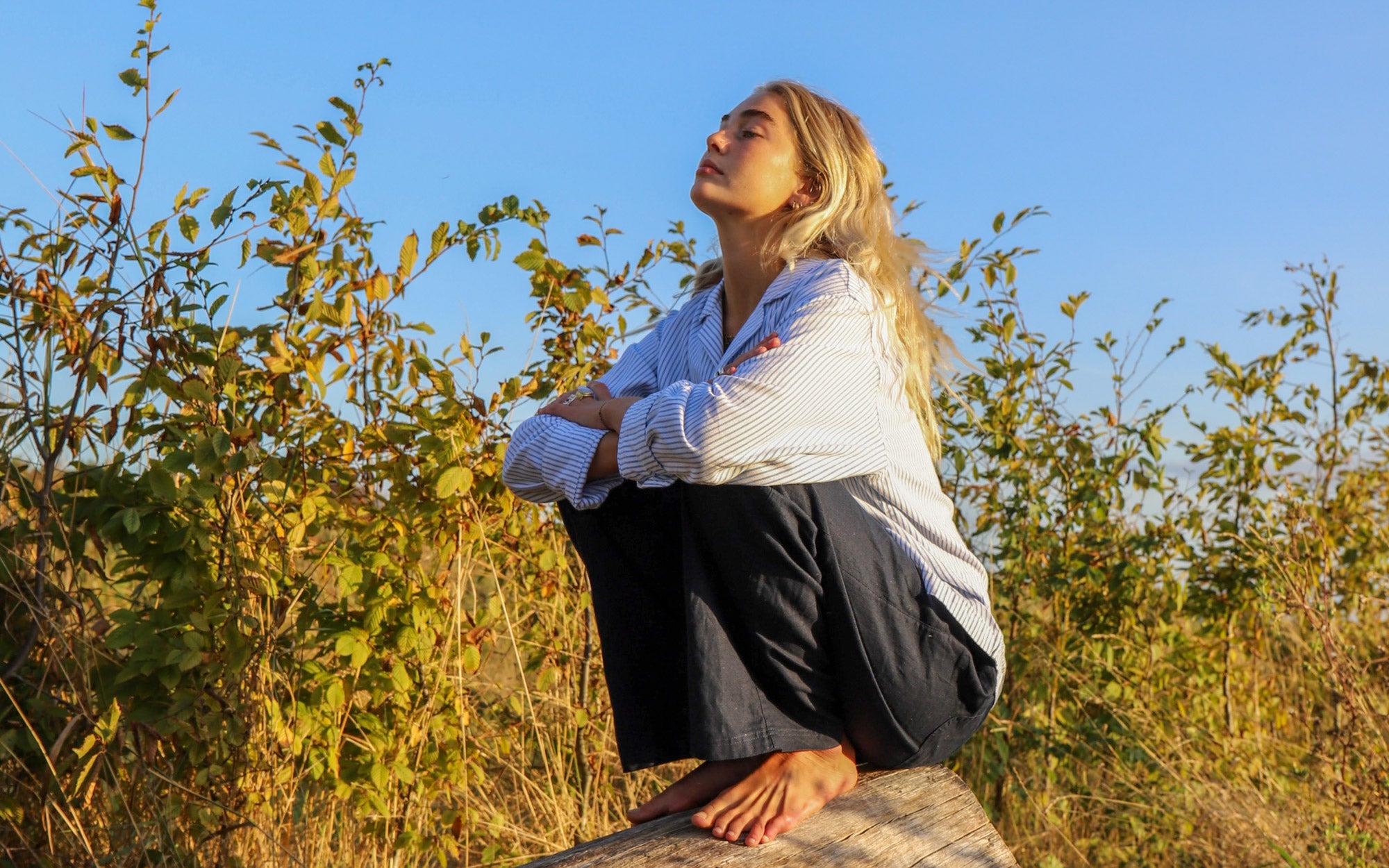 Sustainability – Tom's Trunks